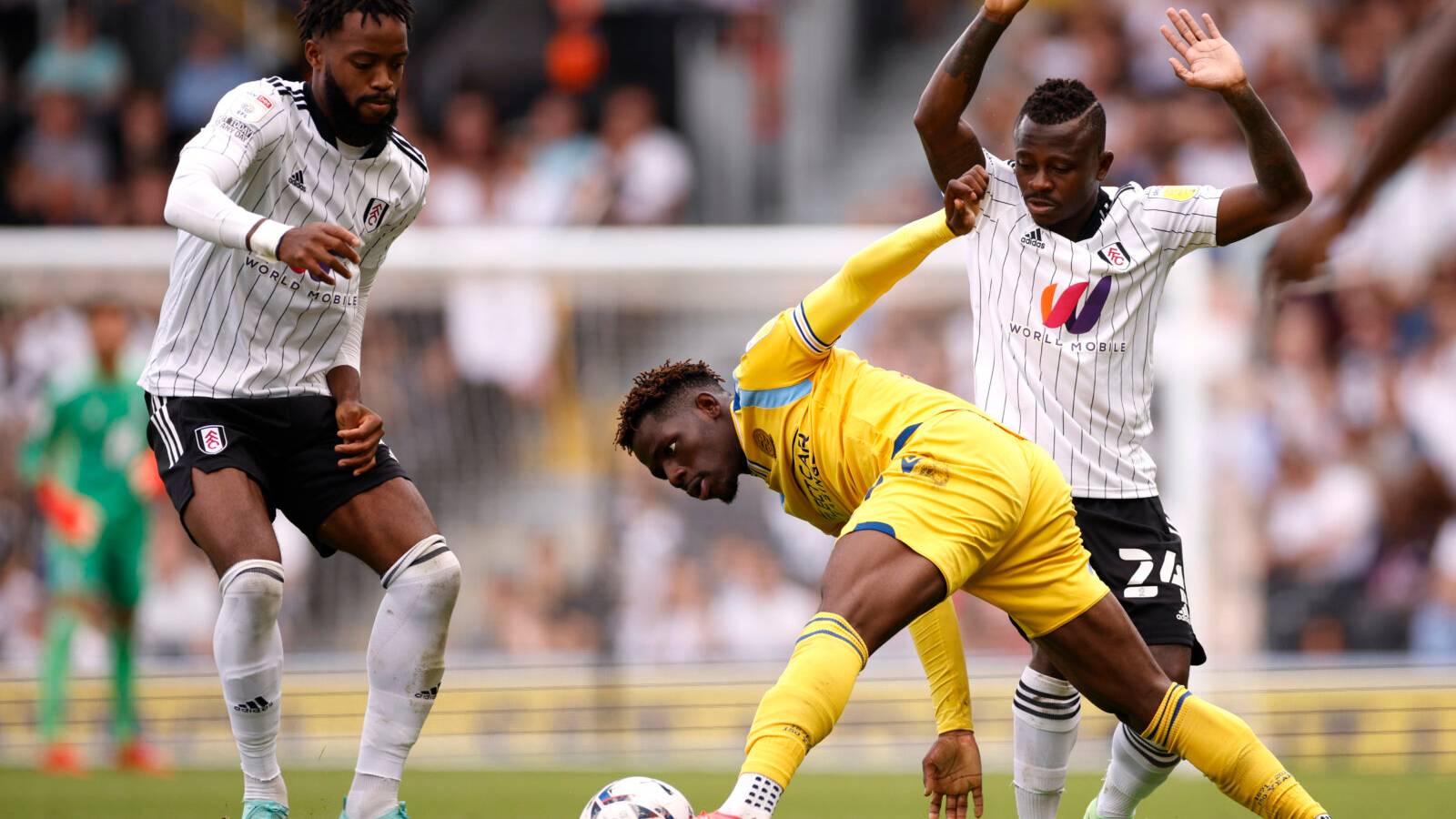 'Awesome signing' - It took longer than expected, but Fulham midfielder ...
