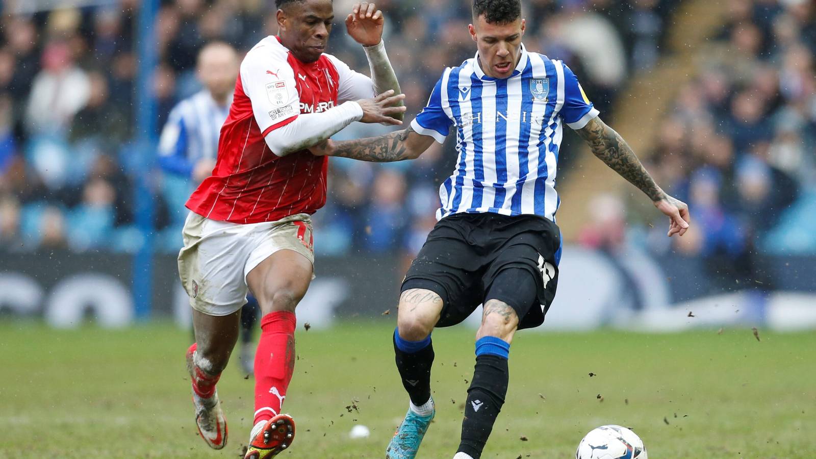 Marvin Johnson speaks out on Sheffield Wednesday "pain" as Owls eye ...
