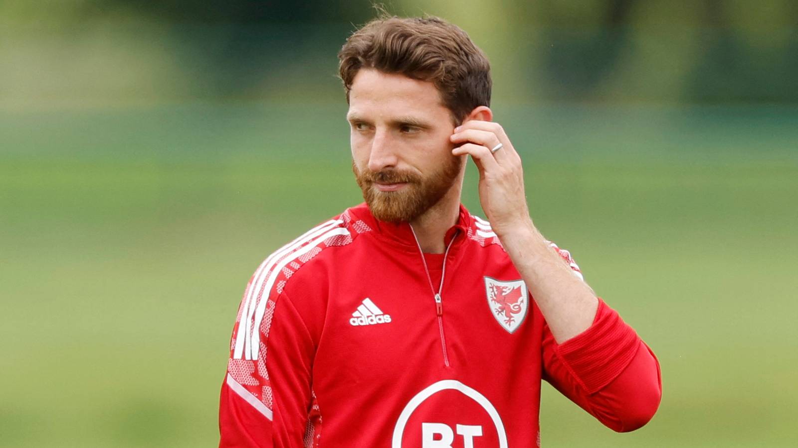 Russell Martin offers Joe Allen injury update ahead of Swansea City's ...