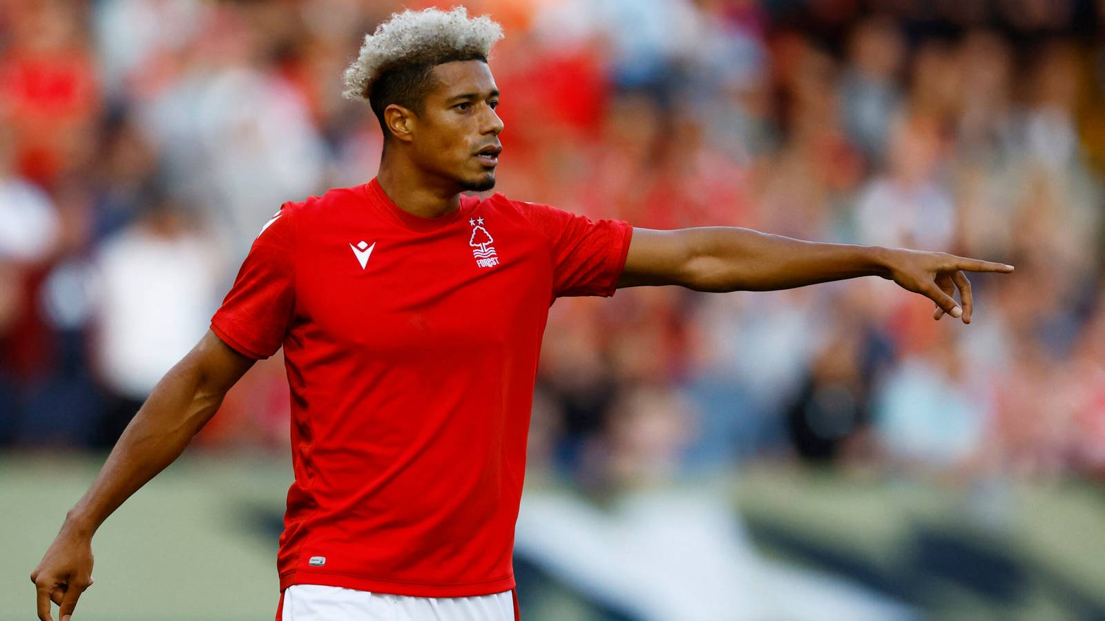 With his Nottingham Forest contract expiring this summer, Charlton ...