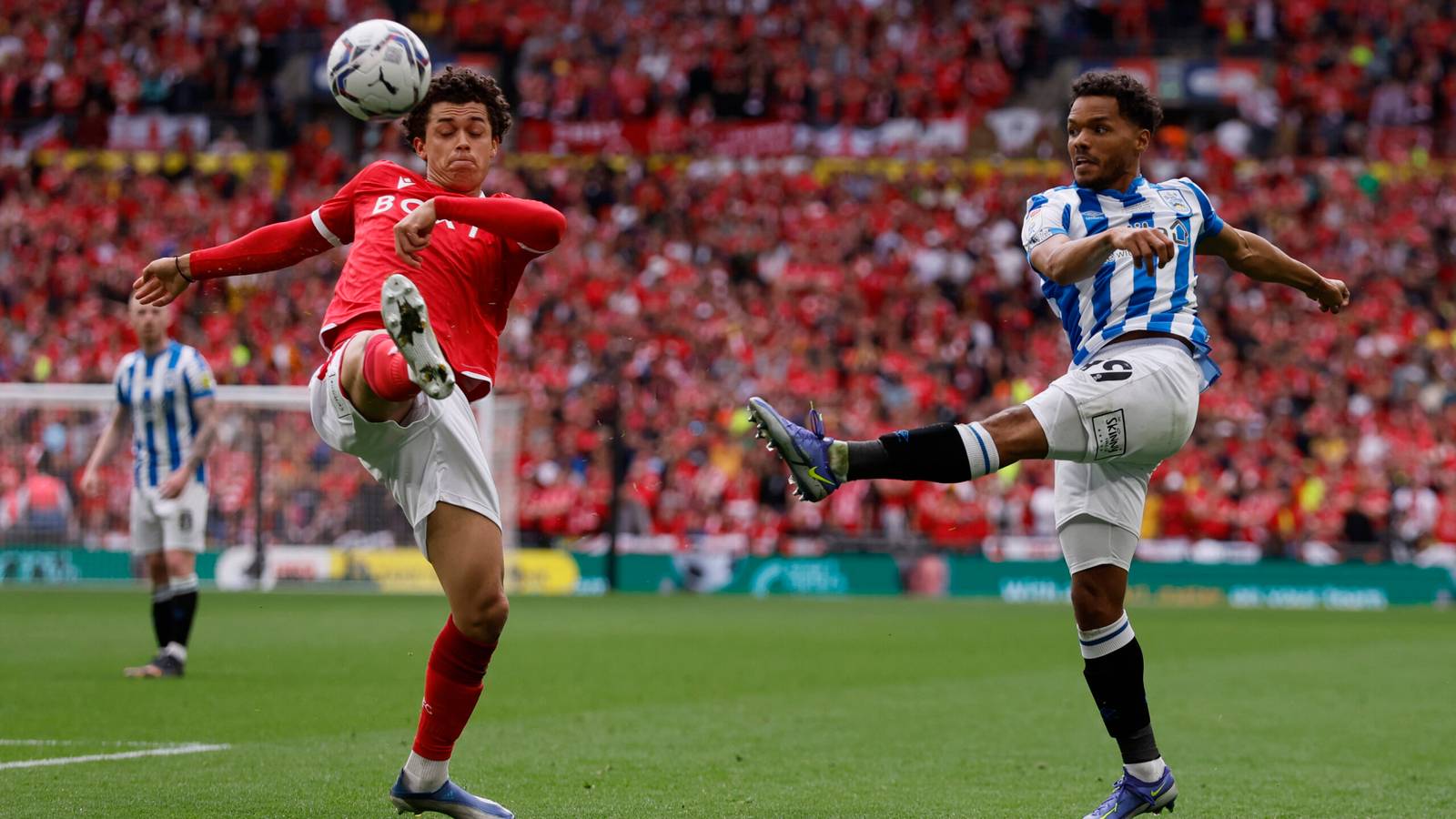 red johnson sheffield