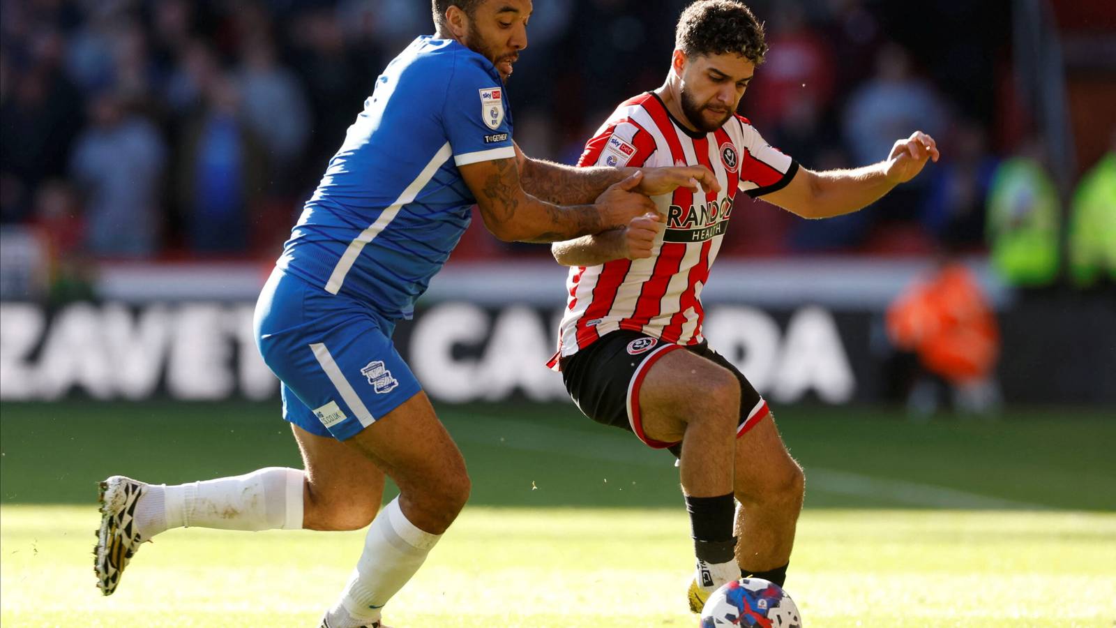 Sheffield United, Birmingham City and Brighton player saga concluded as ...