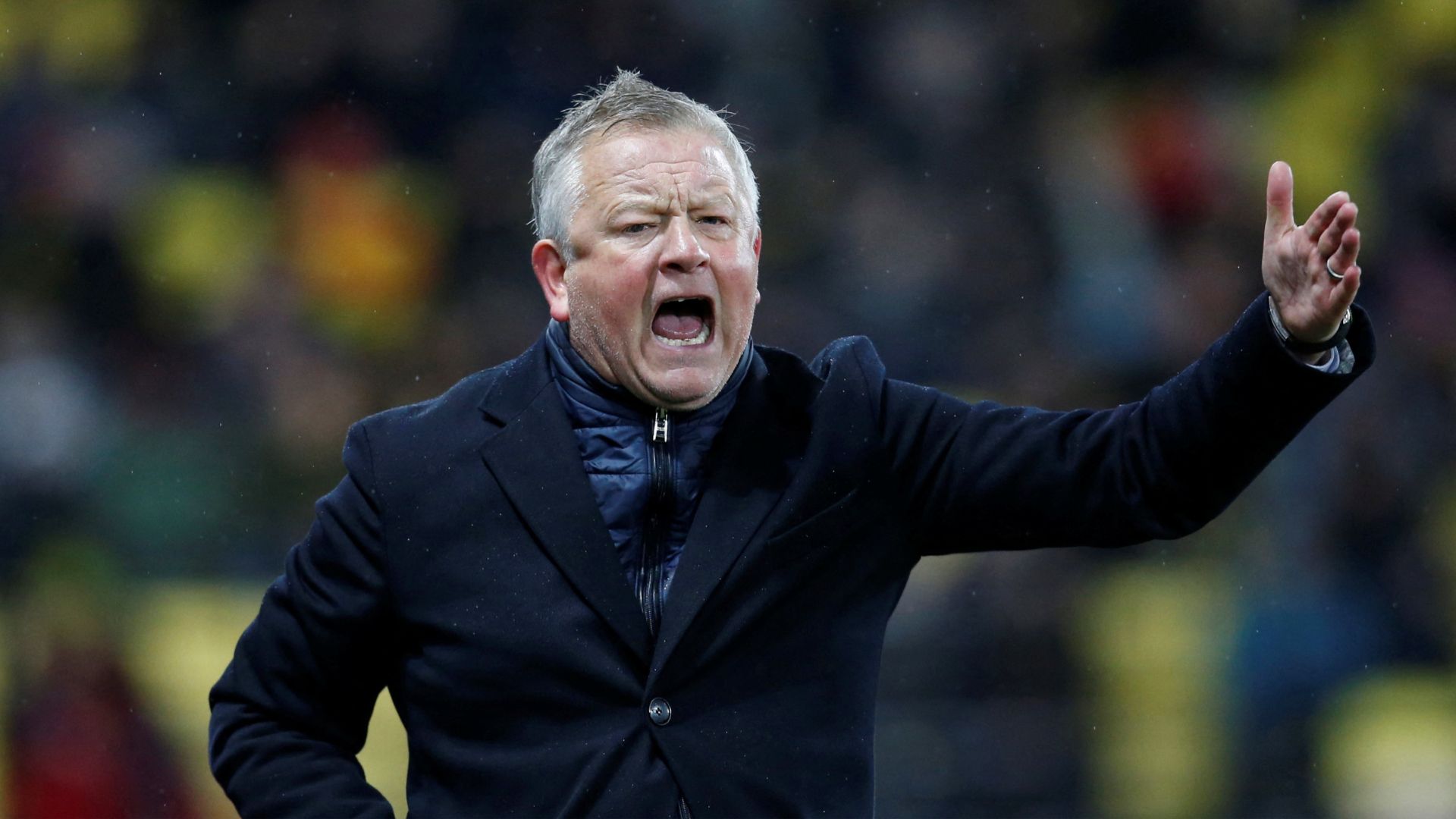 "Ruffled a few feathers" - Watford fan pundit on Chris Wilder's future ...