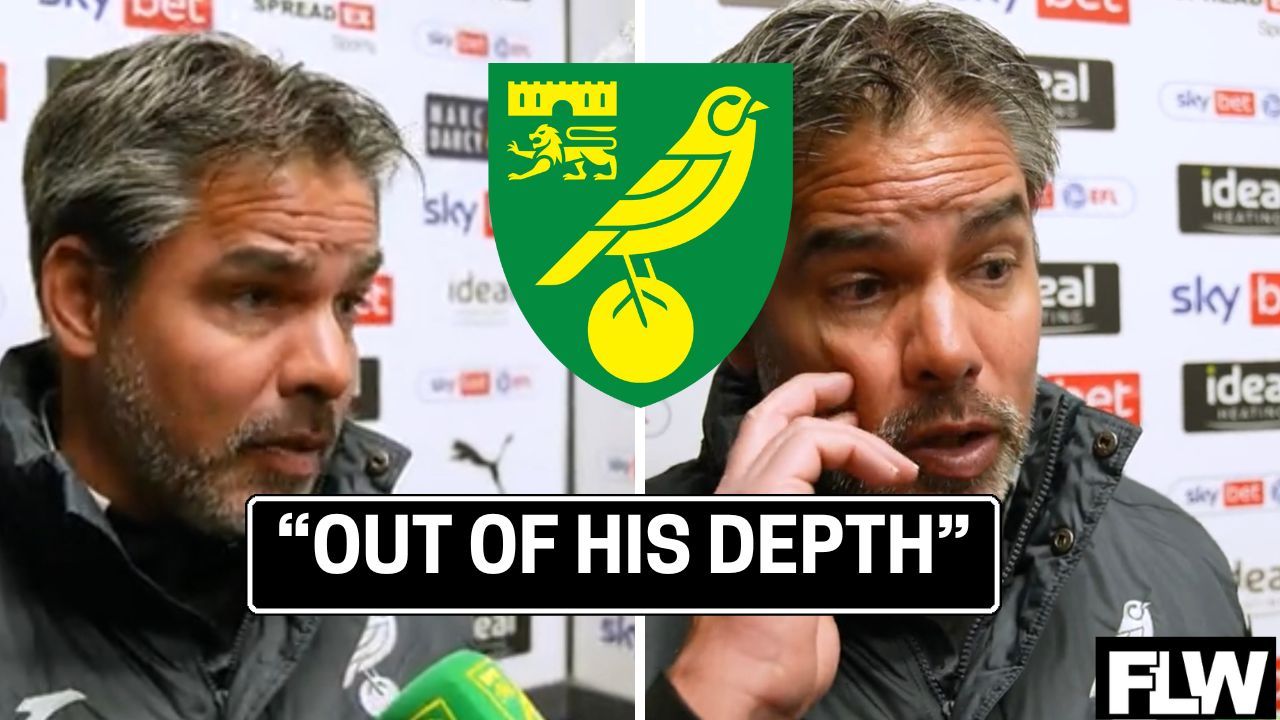 Some Norwich City fans want David Wagner sacked