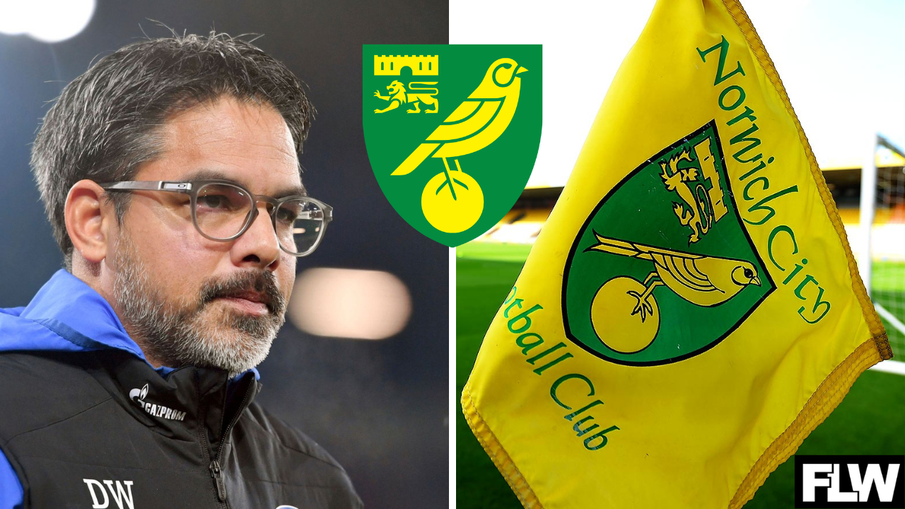 Norwich City fan pundit weighs up David Wagner's future