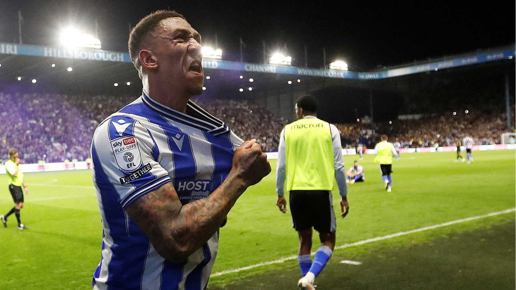 Why Chris Wilder approached Barry Bannan and Liam Palmer after ...