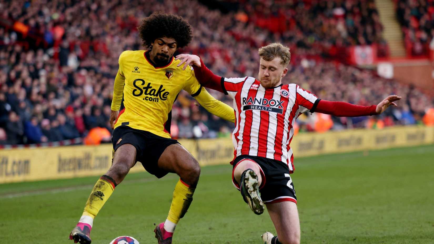 Sunderland AFC urged to sign Wolves' Tommy Doyle if Jobe Bellingham ...