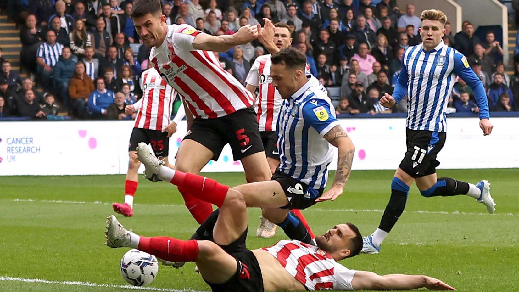 Lee Gregory’s Sheffield Wednesday return explained