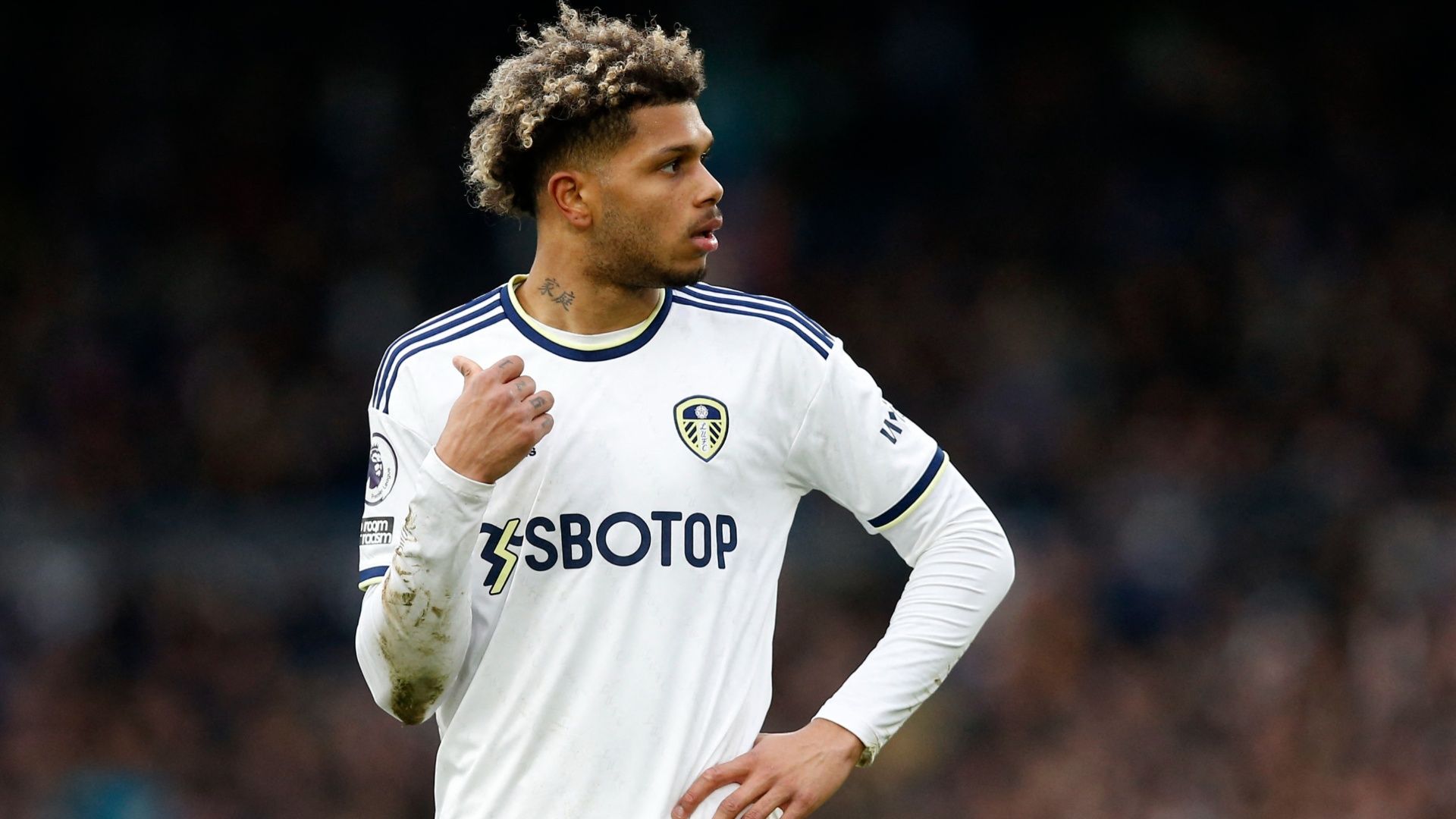 Georginio Rutter could help transform new-look Leeds United attack