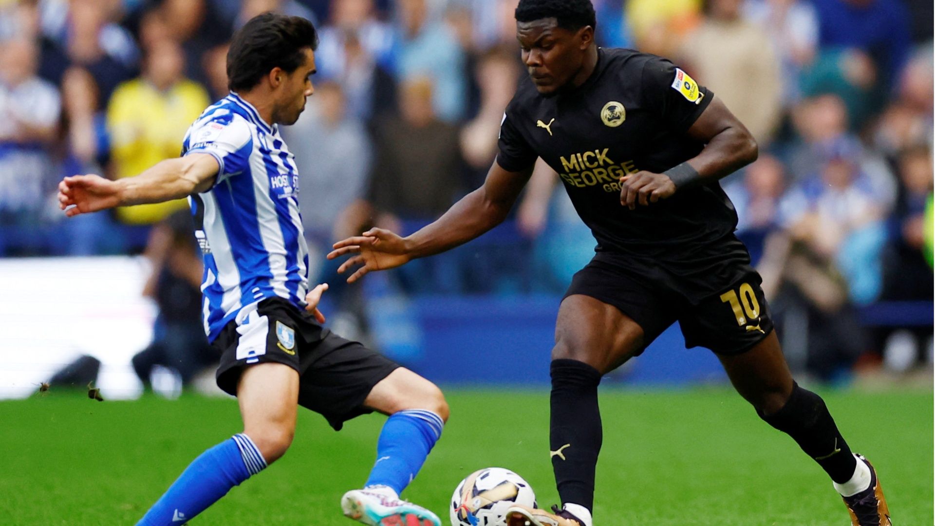 Rotherham United in transfer pursuit for Sheffield Wednesday defender ...