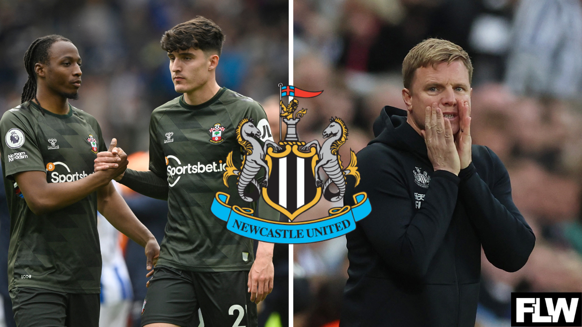 Newcastle update revealed on pursuit of Southampton star