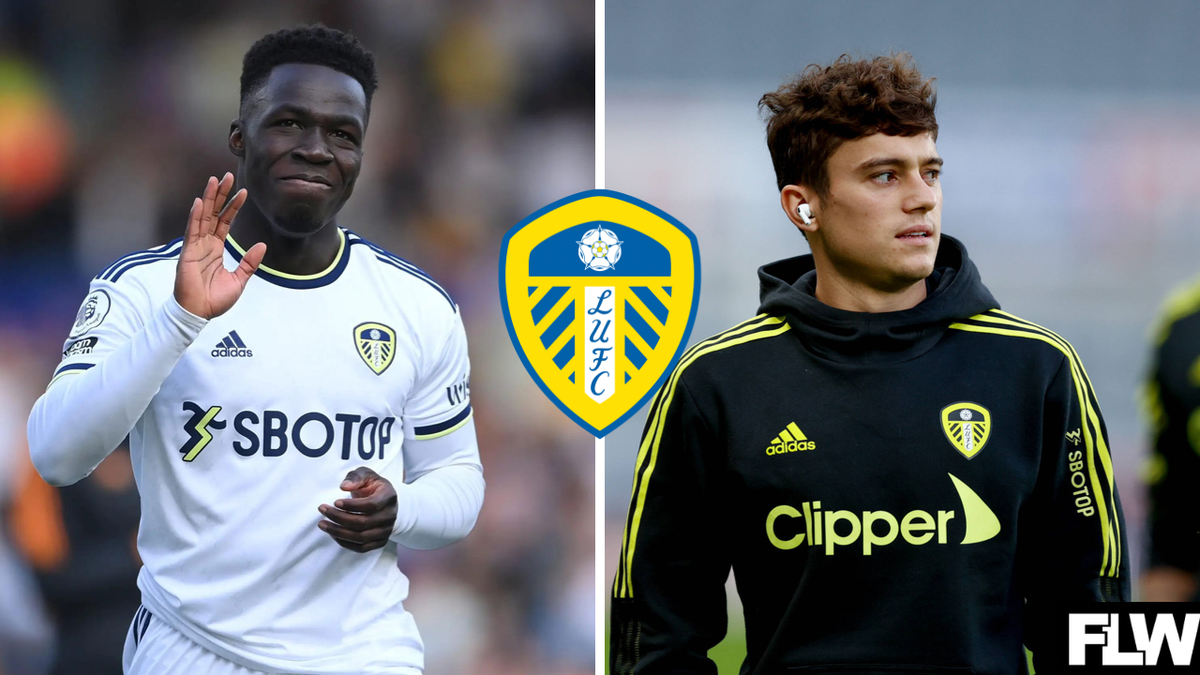 Dan James should be given a Leeds United lifeline this summer
