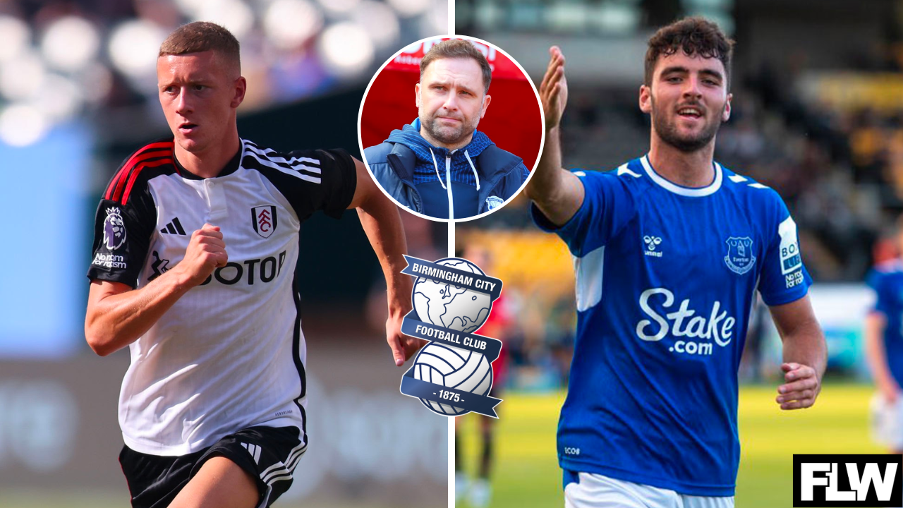Birmingham should try to sign Fulham forward if Tom Cannon pursuit fails