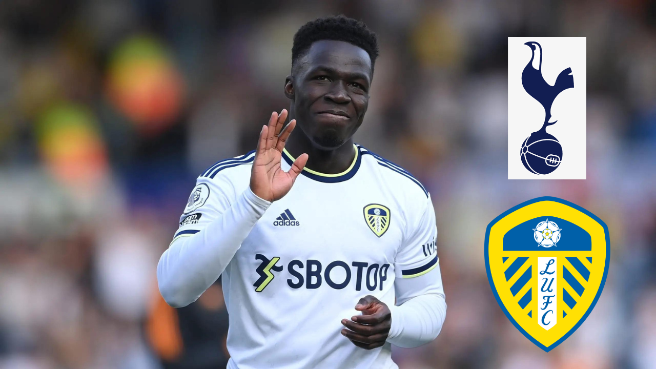 "Not going to be a Harry Kane replacement" - Tottenham consider move ...