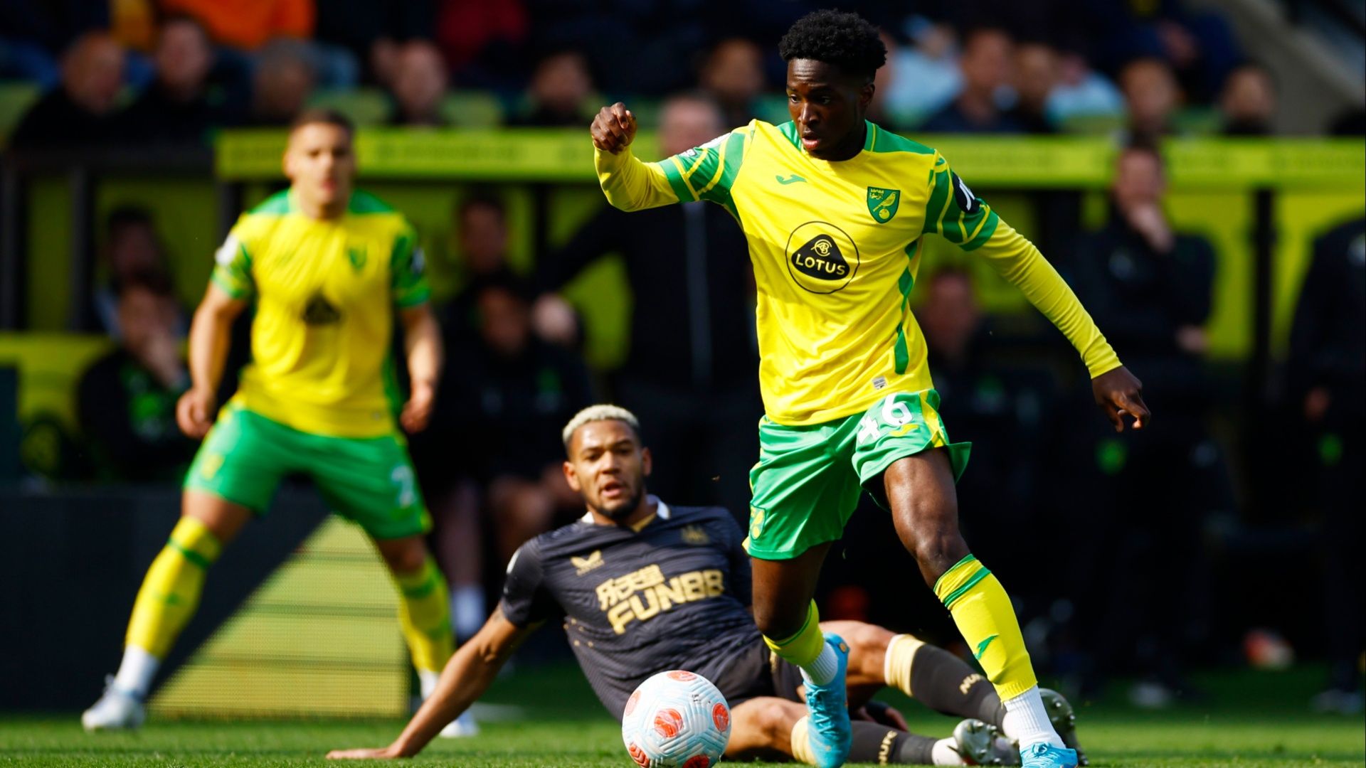 Norwich City have a star on their hands and supporters should be excited