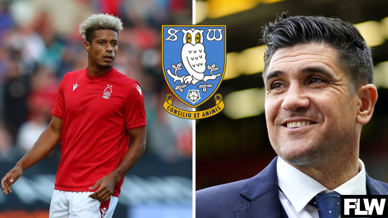 “Probably worth a punt” - What next for Sheffield Wednesday and Lyle ...