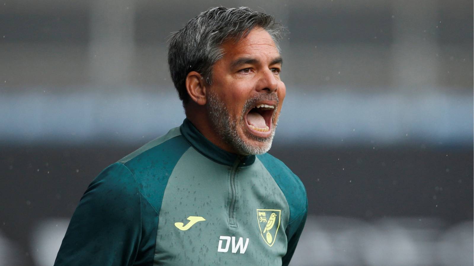 David Wagner reflects on Norwich City's defeat to Leeds United