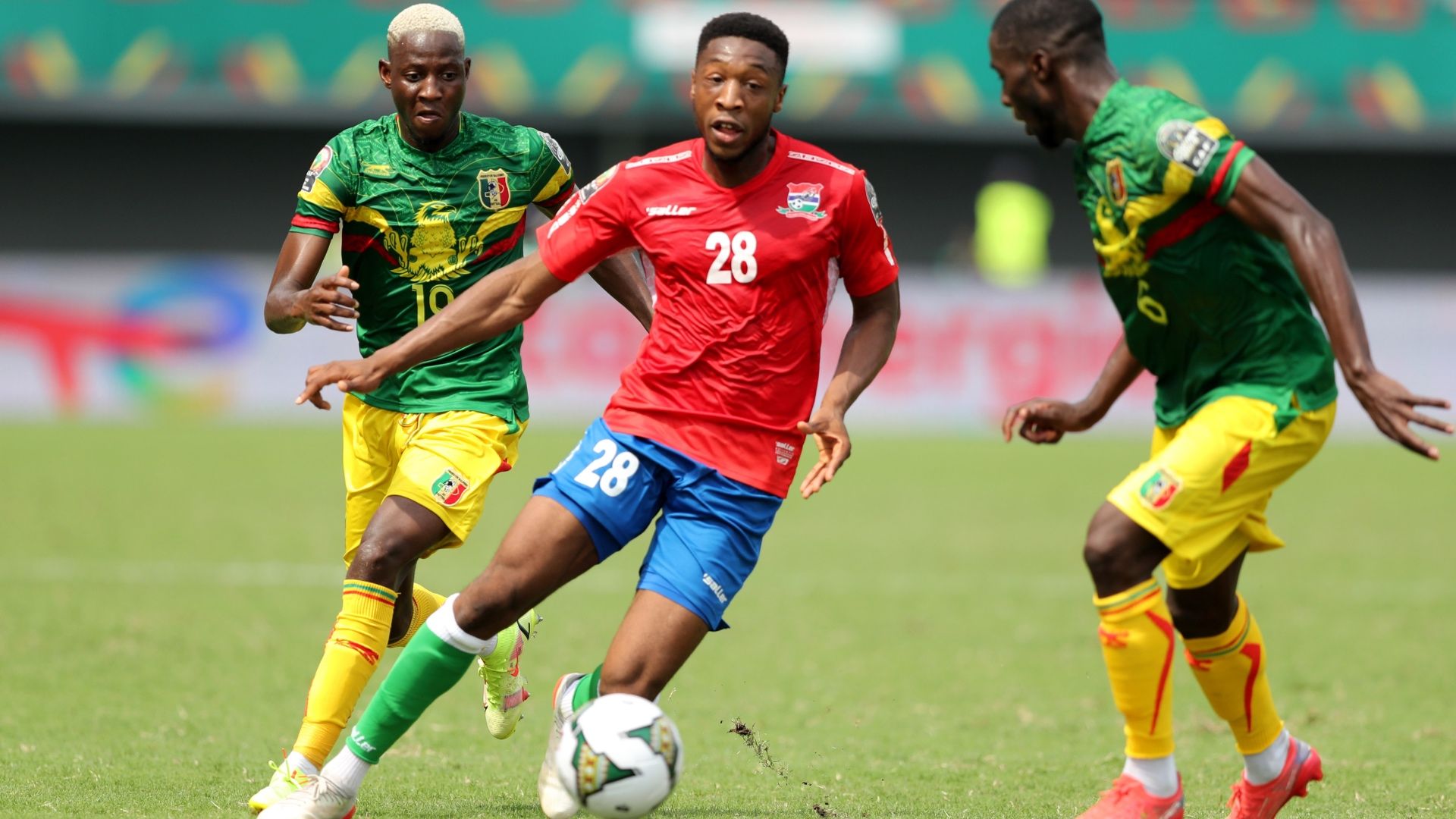 Cardiff City, Ebou Adams decision backed as Derby County move draws closer