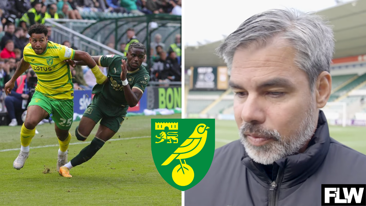 Norwich City latest: David Wagner comments on Plymouth loss, McLean ...