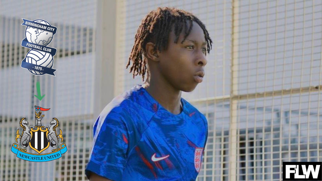 Newcastle win race to sign Birmingham's Trevan Sanusi