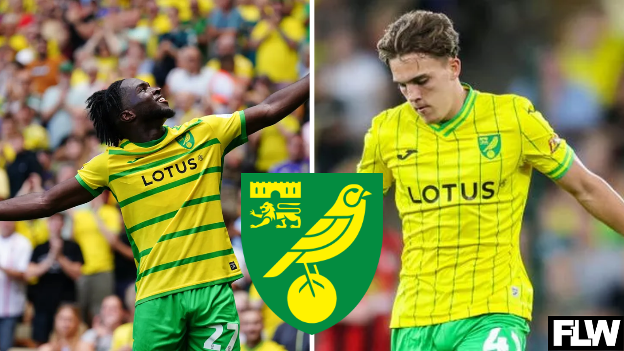 The 4 Norwich City players that can save the club millions