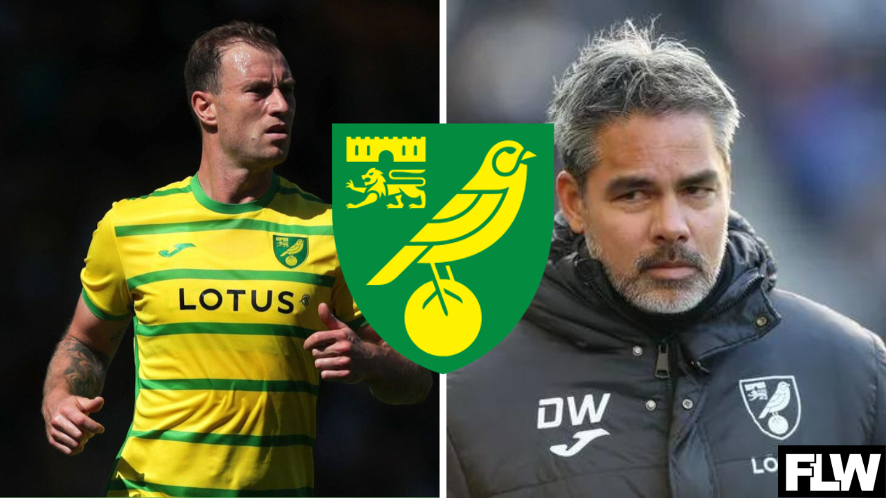 Norwich City: David Wagner reveals Ashley Barnes update