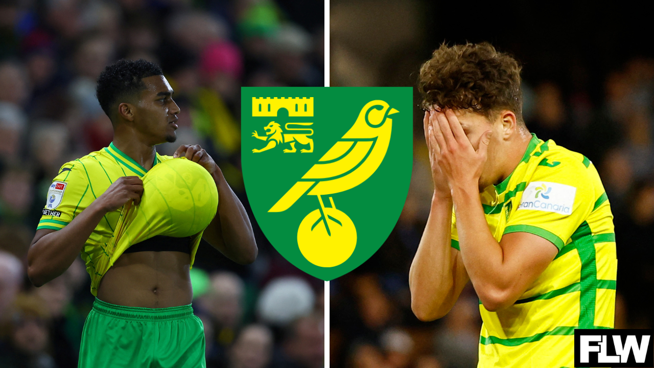 The 3 Norwich City players we can see leaving in January