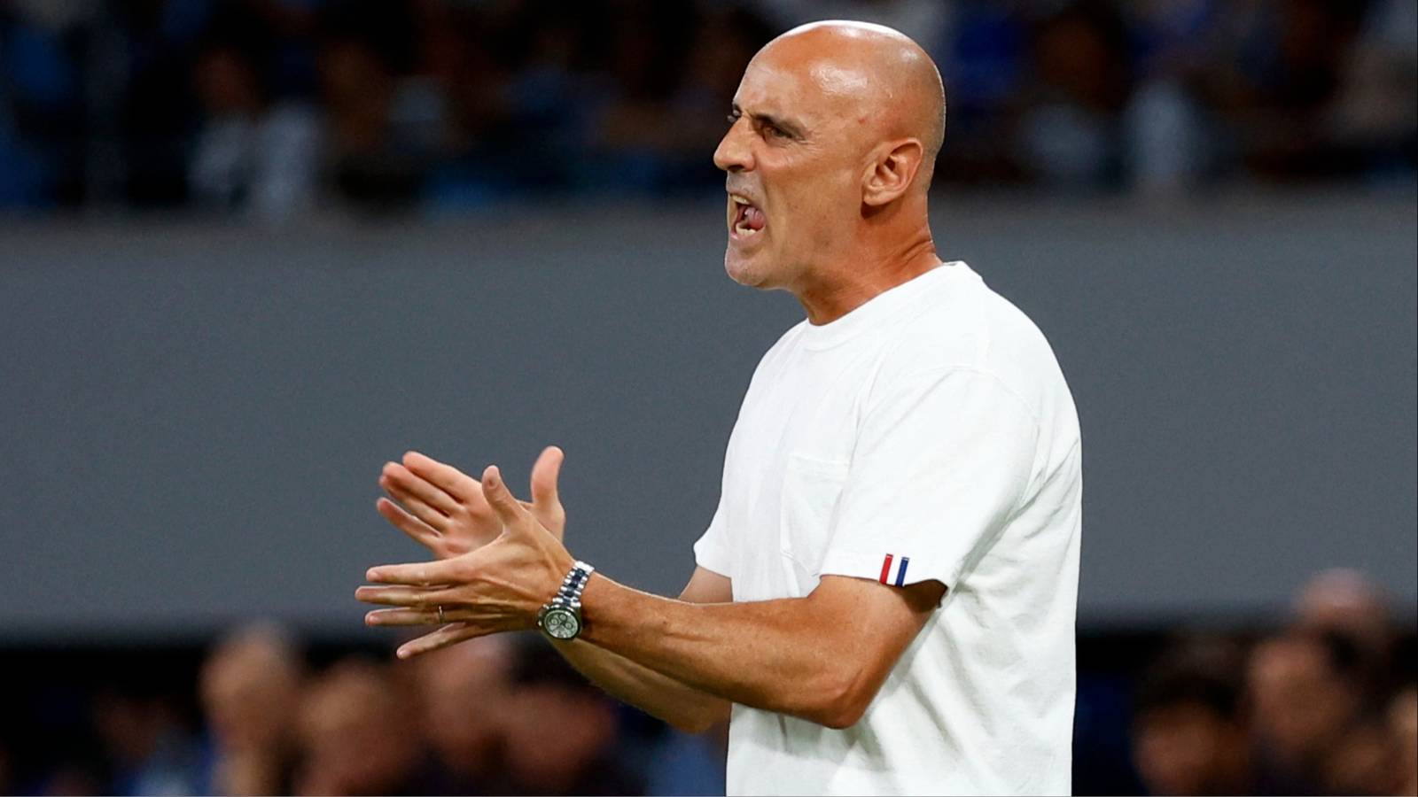 Carlton Palmer: Kevin Muscat would be too much of a gamble for Millwall