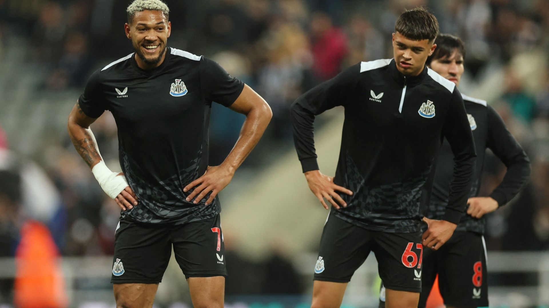 Charlton Athletic: 5 players who should already be on the club's ...