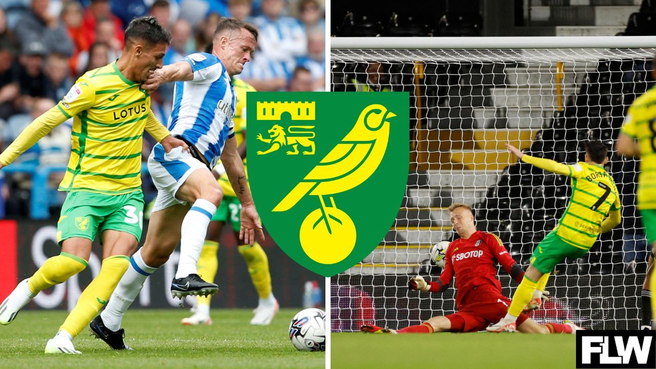 Norwich City latest: Borja Sainz update, Giannoulis message, Liam Gibbs ...
