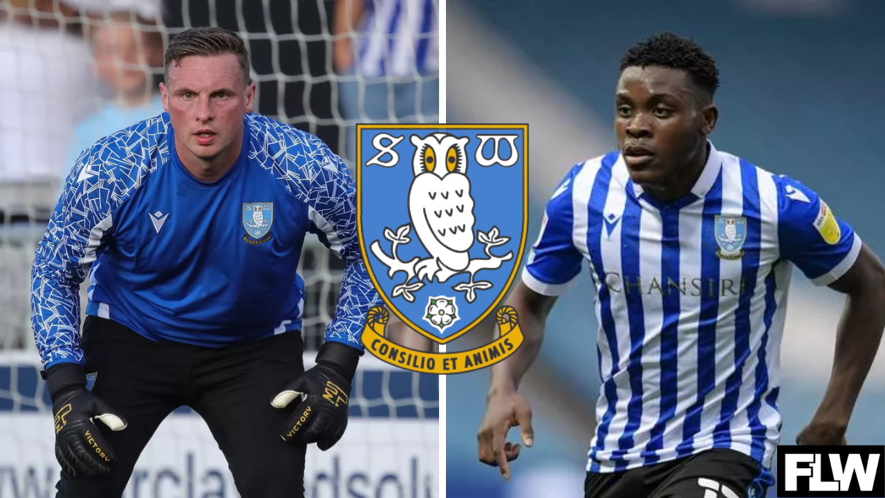 The 6 players let go by Sheffield Wednesday in the summer & how they've ...