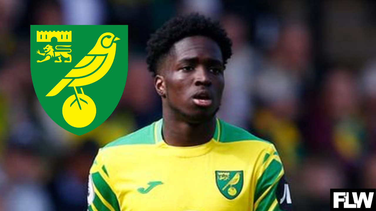 Norwich City: Jonathan Rowe concern emerges