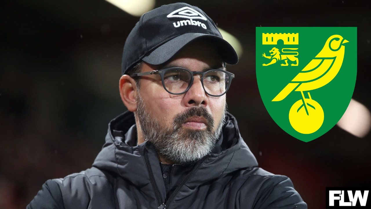 David Wagner hints at planned changes in a bid to keep Norwich City job