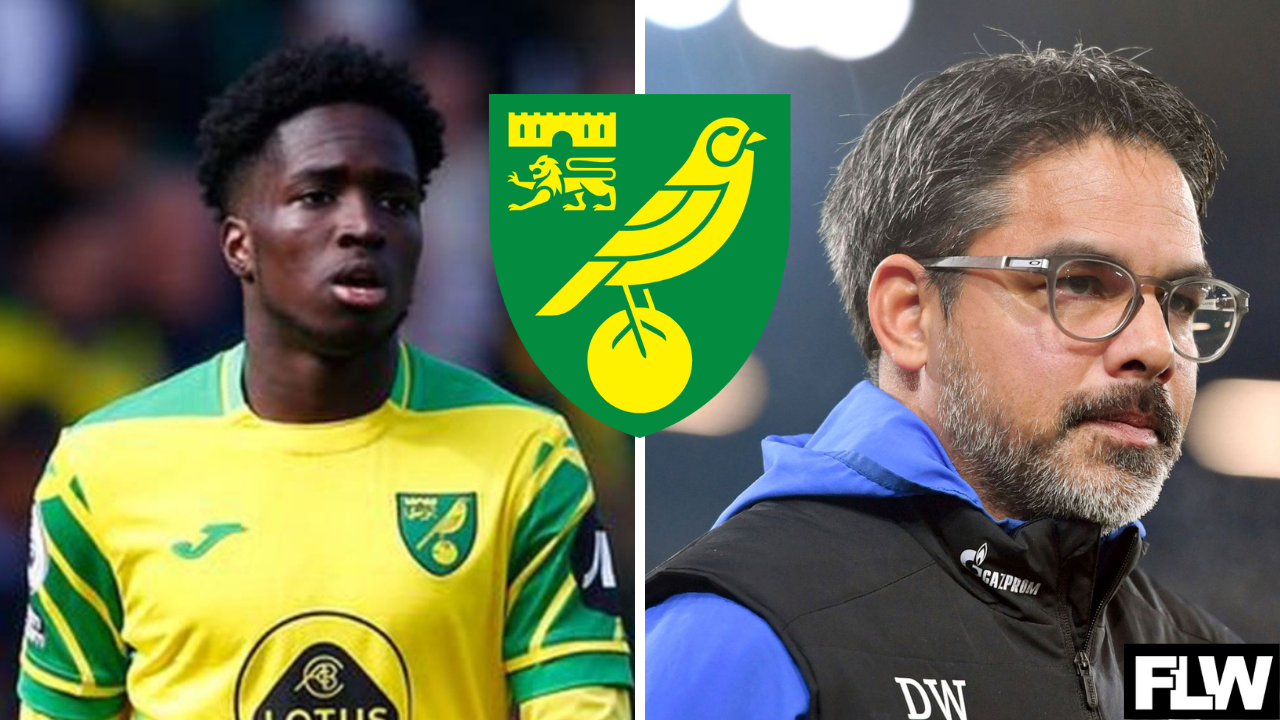 Watford v Norwich City: Early Canaries team news emerges
