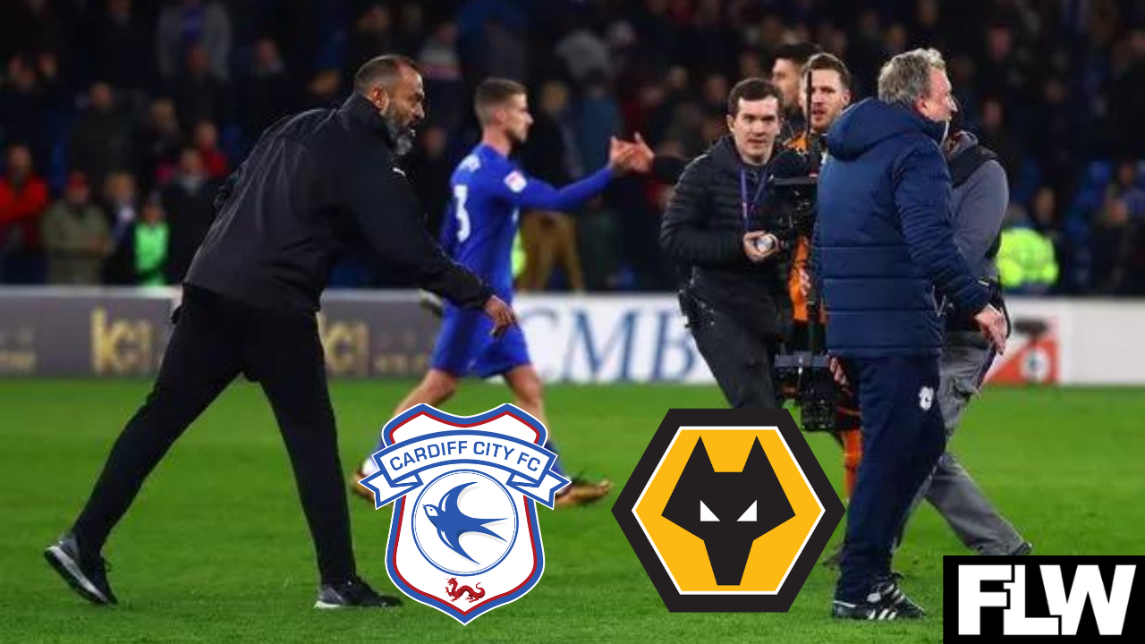 This Cardiff City v Wolves flashpoint is the most iconic Championship ...