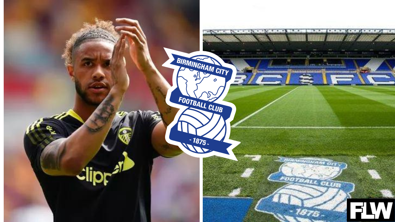 The ex-Leeds United man that just needs some luck at Birmingham City: View