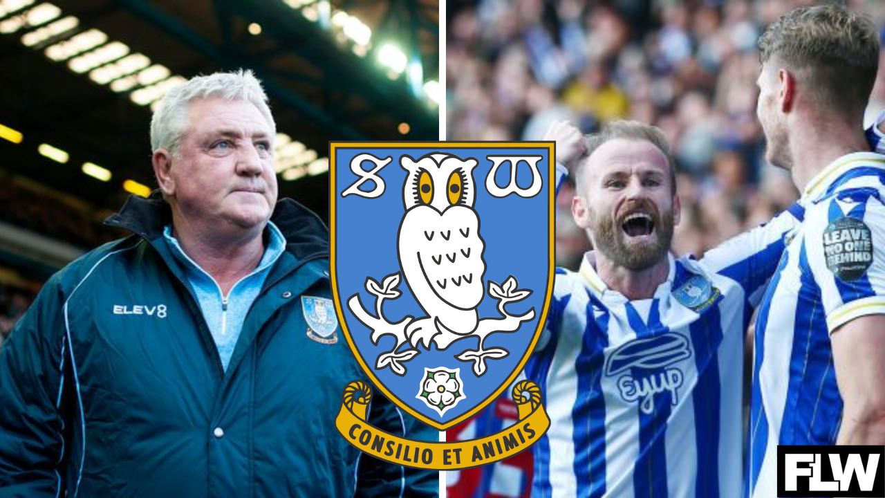 Steve Bruce admits he let Sheffield Wednesday down