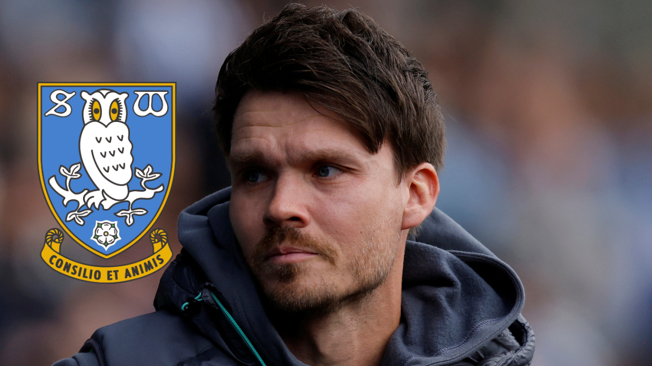 “Fantastic” - Danny Rohl sends passionate Sheffield Wednesday message ...