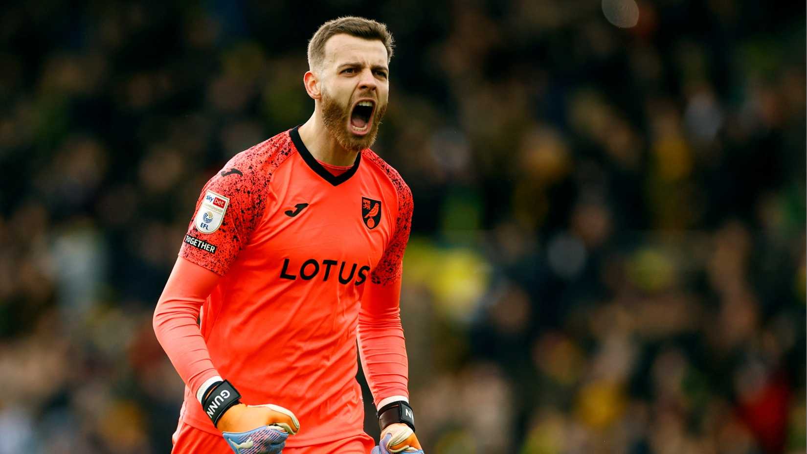 Don Goodman's clear transfer message for Norwich City and Johannes Hoff ...