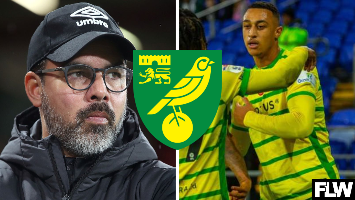 After Cardiff City triumph, David Wagner must make this Norwich City ...