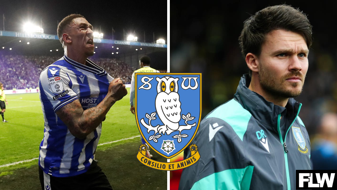 Danny Rohl may want to accelerate Sheffield Wednesday talks as US ...
