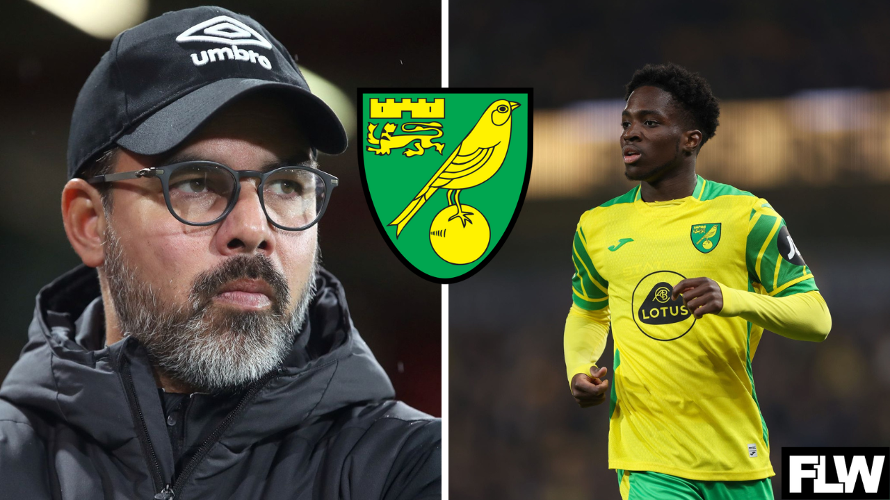 Norwich City summer Jon Rowe decision can reap Premier League rewards