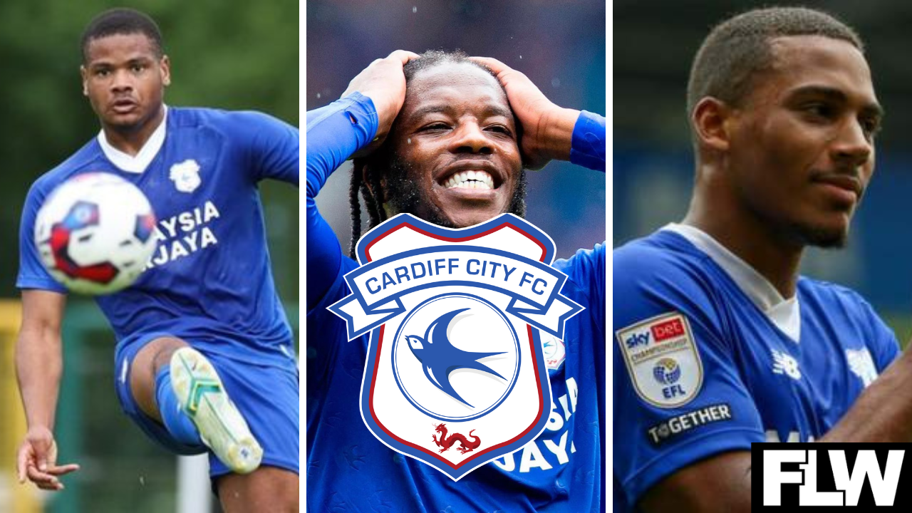 Every Cardiff City player who realistically could leave by February 1st