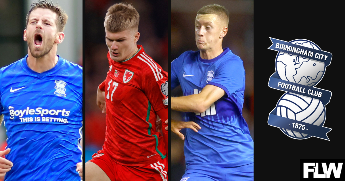 Birmingham City must keep Jordan James, Lukas Jutkiewicz and Jay ...