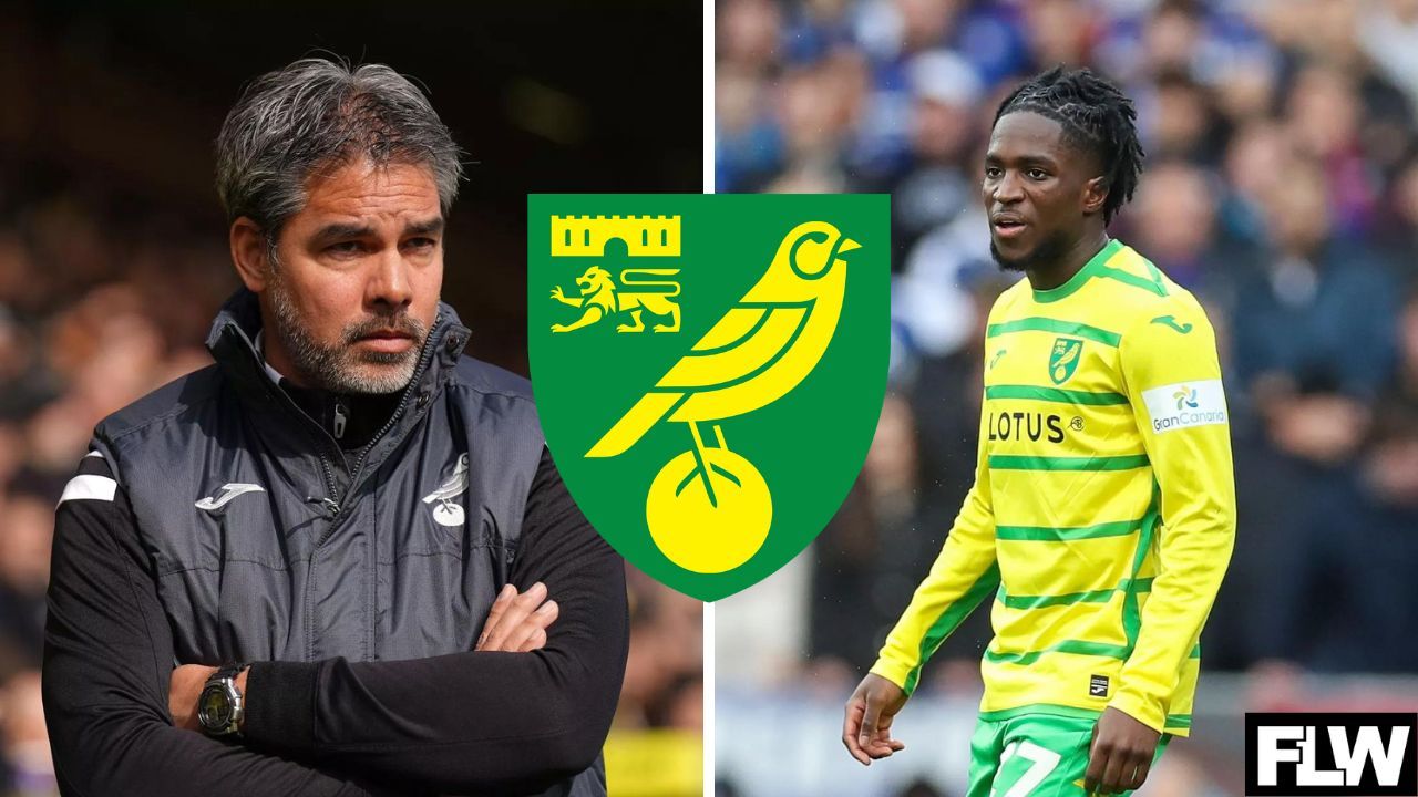 Norwich City: David Wagner issues frank stance amid Tottenham ...