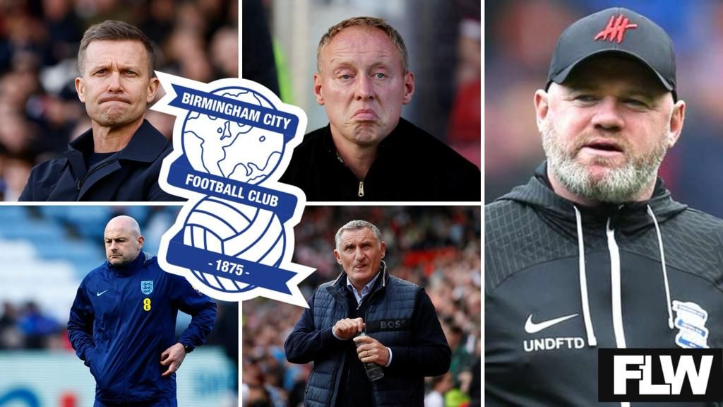 Four names on Birmingham City new manager shortlist revealed