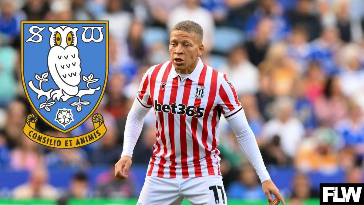 "Lucas Joao more than Dwight Gayle" - Claim made as Sheffield Wednesday ...