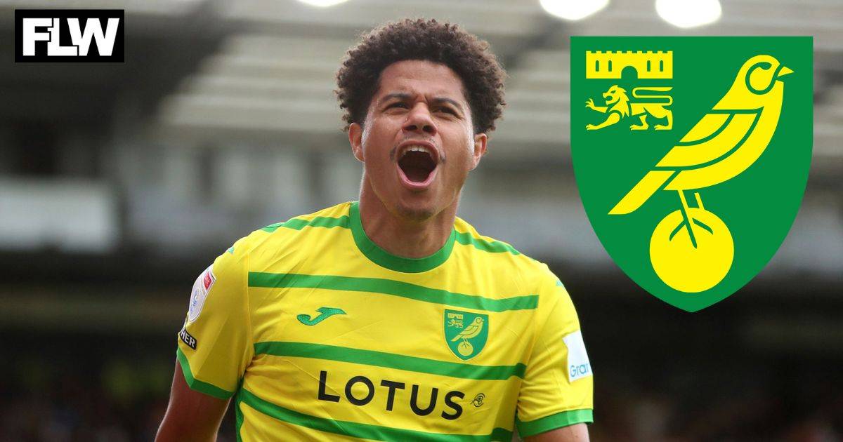 Gabriel Sara effect at Norwich City is helping sweeten bad Jon Rowe news