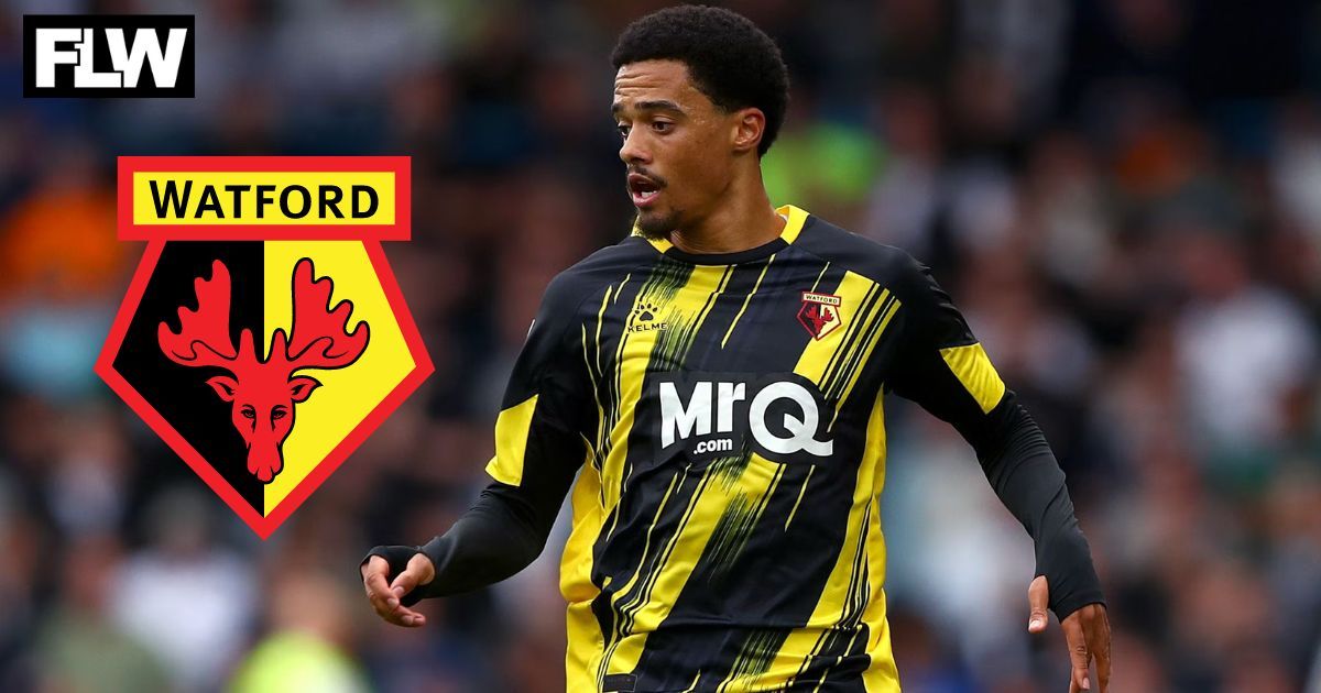 Watford should let Jamal Lewis return to Newcastle United