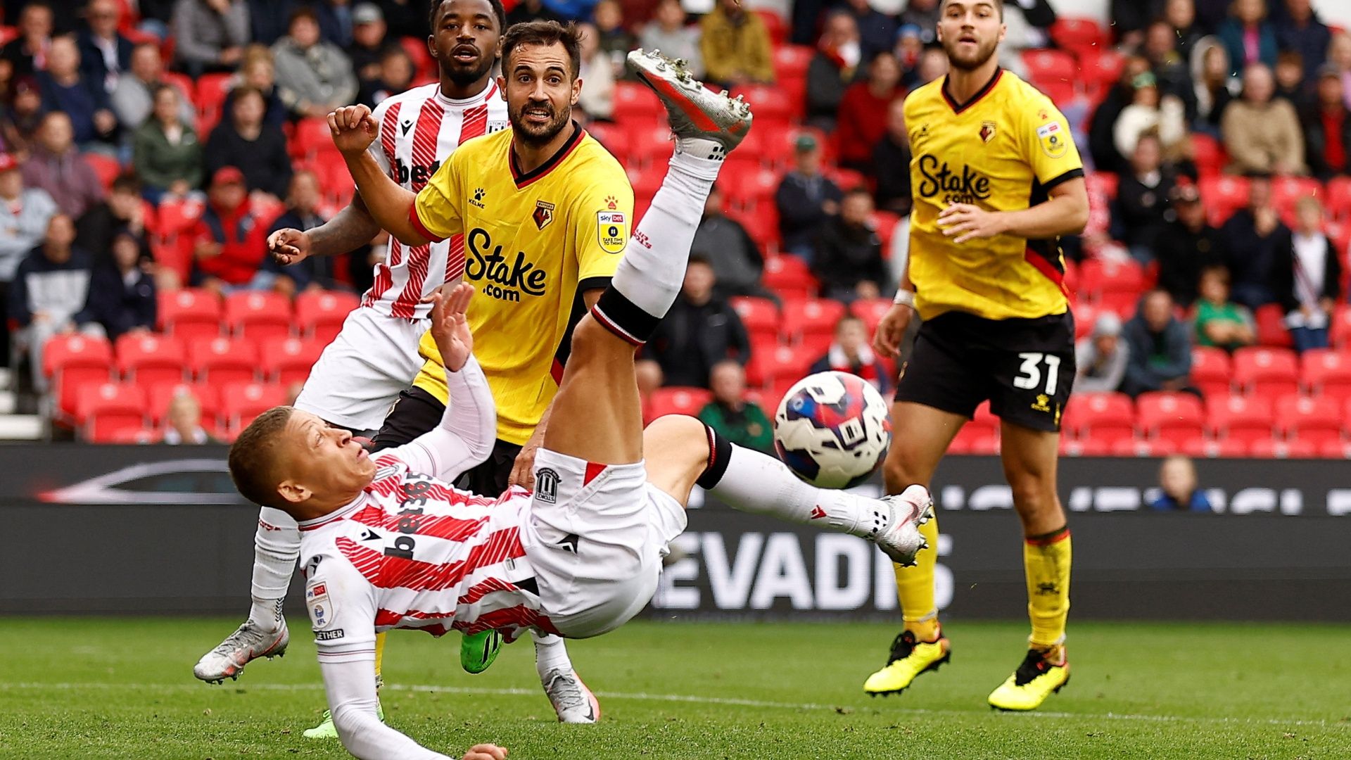 "Lucas Joao more than Dwight Gayle" - Claim made as Sheffield Wednesday ...